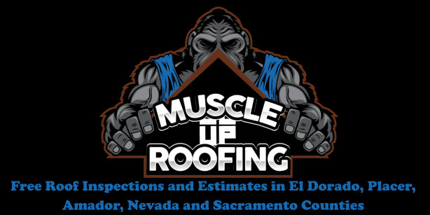 Home - Muscle Up Roofing